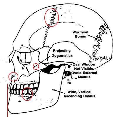 My Mind: I'll help you to tell your family who you are