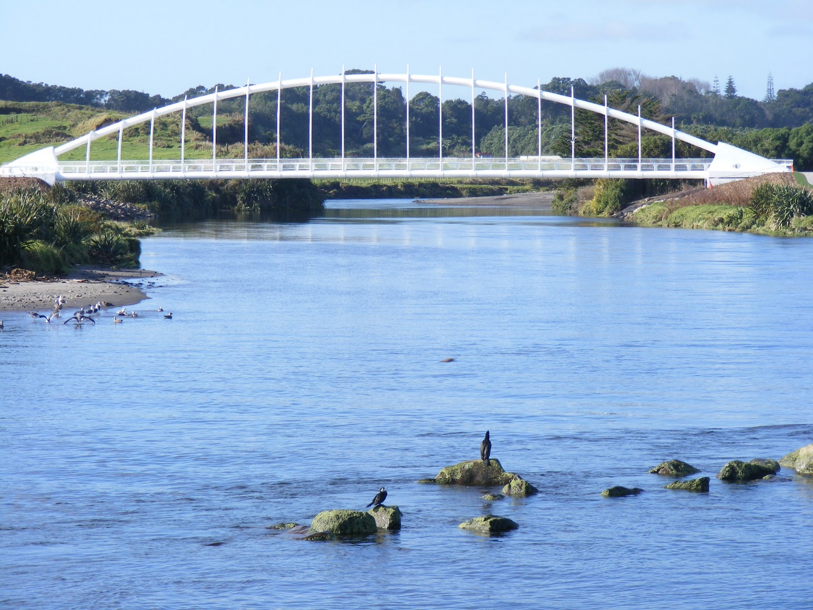 photographing New Zealand: Te Rewa Rewa Bridge
