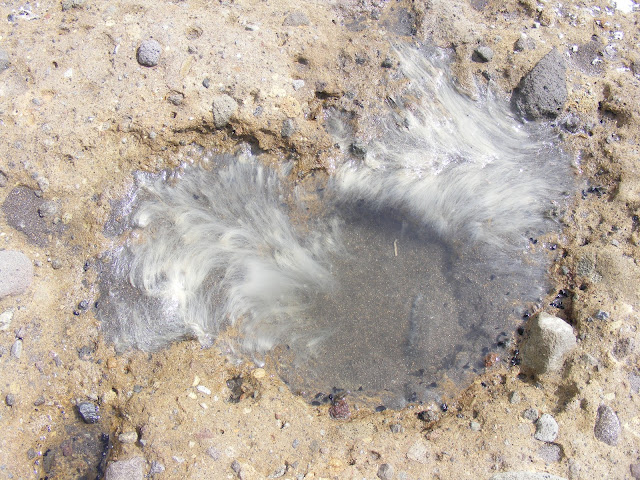 photographing New Zealand: White algae at Back Beach