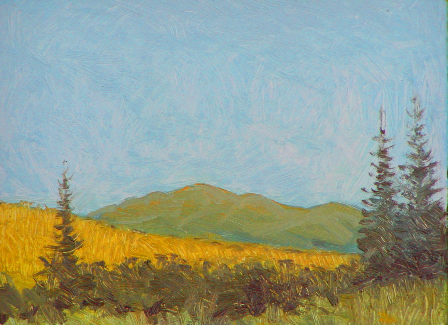 Kevin Storms Fine Art: Windham Works