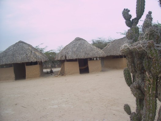 Acentamiento Indigenas De La Cultura Wayuu: VIVIENDA WAYUU