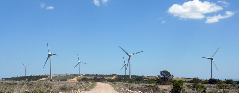 Mauritius Agriculture News: HOAX, GOSSIP or REAL: French Developer ...