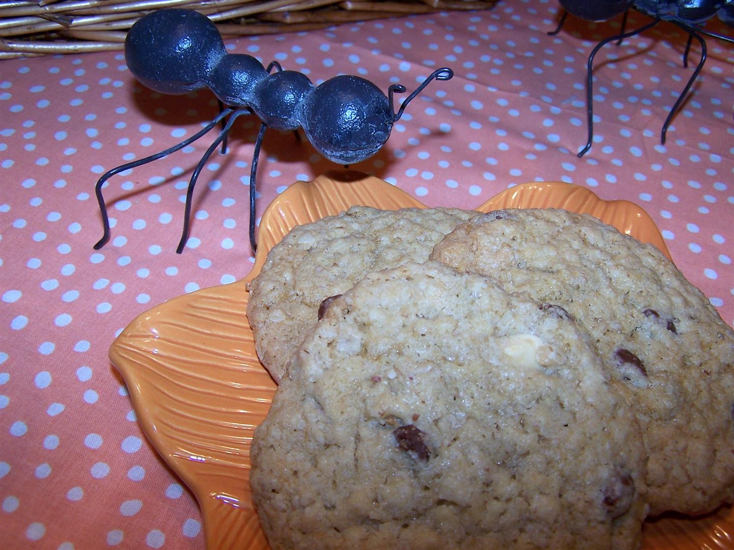 Ants are Welcome at this Table