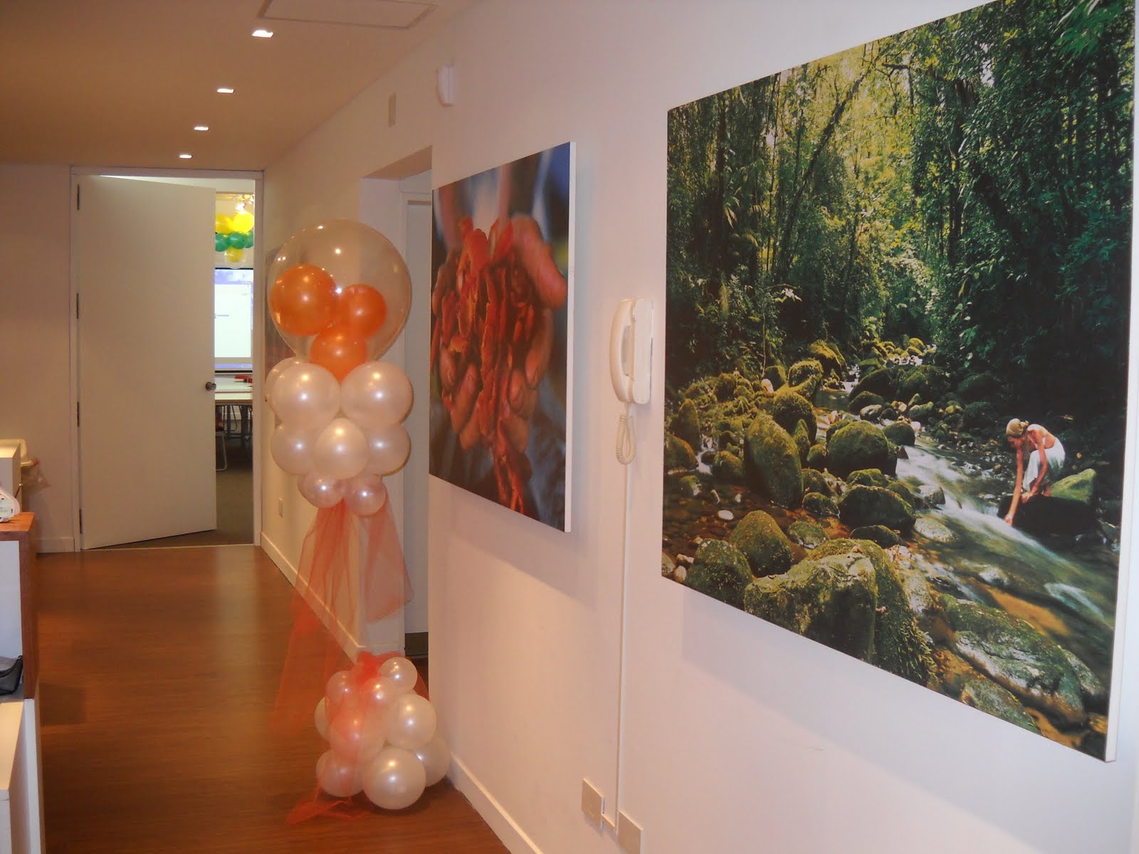 Laura Morselli / Natura/La Matanza. 154/031/9634