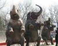 Actions For Animals: Save Baby Elephant Val from Tim Frisco - The ...