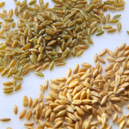 TERAPII ALTERNATIVE SI TRATAMENTE NATURISTE: CURA CU GRAU INCOLTIT