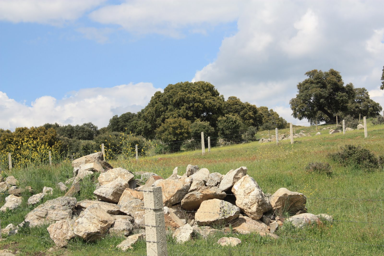 carpio medianero: PAISAJE DE CARPIO