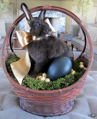 HOT TOPICS : Martha Stewart Shares Easter Photos