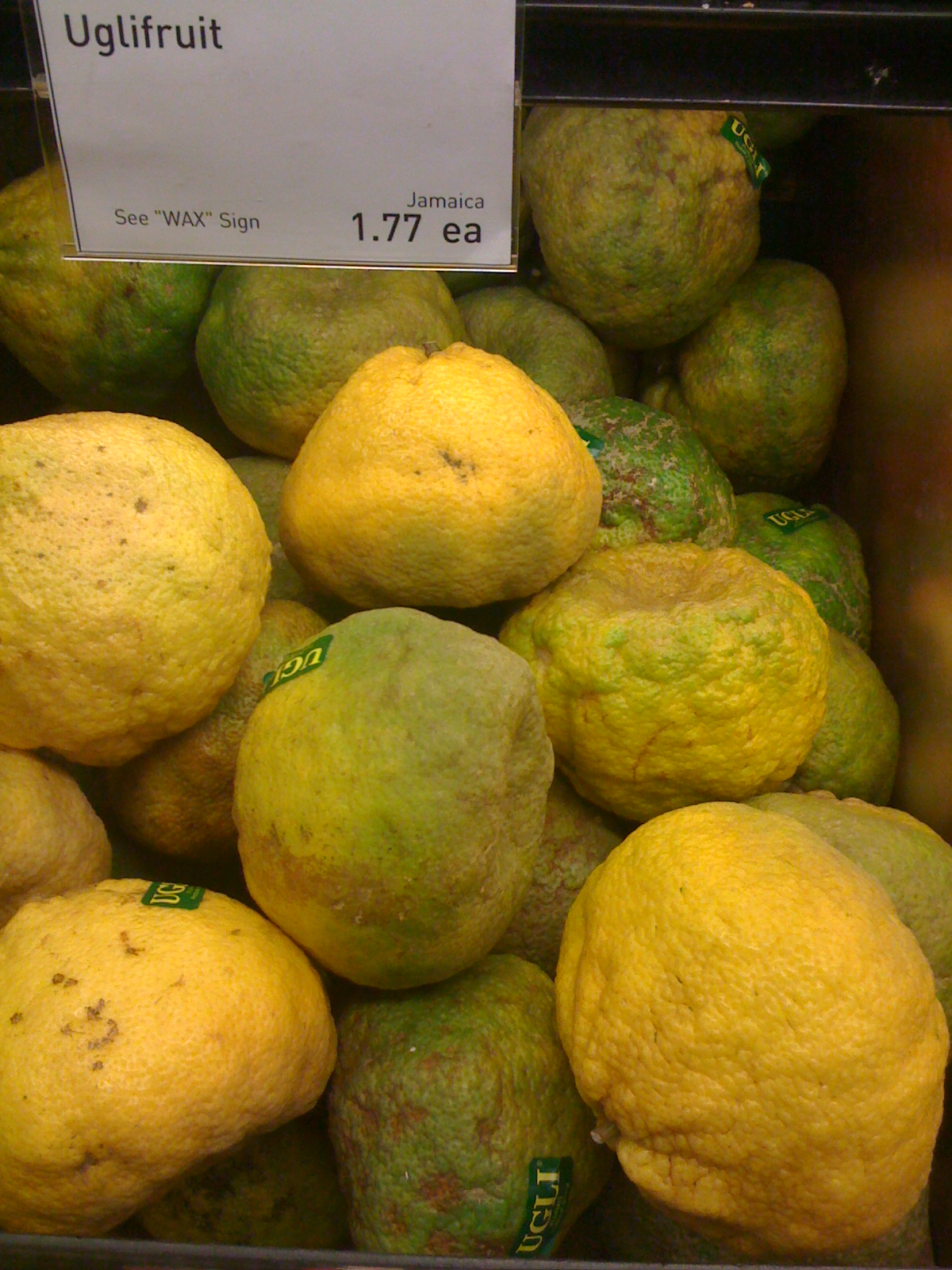 what do vegans eat?: ugli fruit