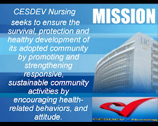 UC Nursing CESDEV: SUMMER DAYS!