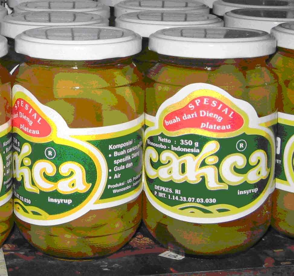 BKPA-USM: TINJAUAN : SENTRA IKM PENGOLAHAN CARICA KABUPATEN WONOSOBO