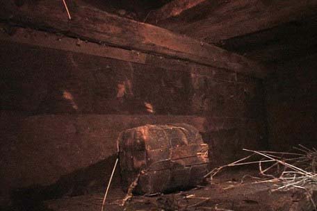 Islamic References: Prophet Nuh (a)