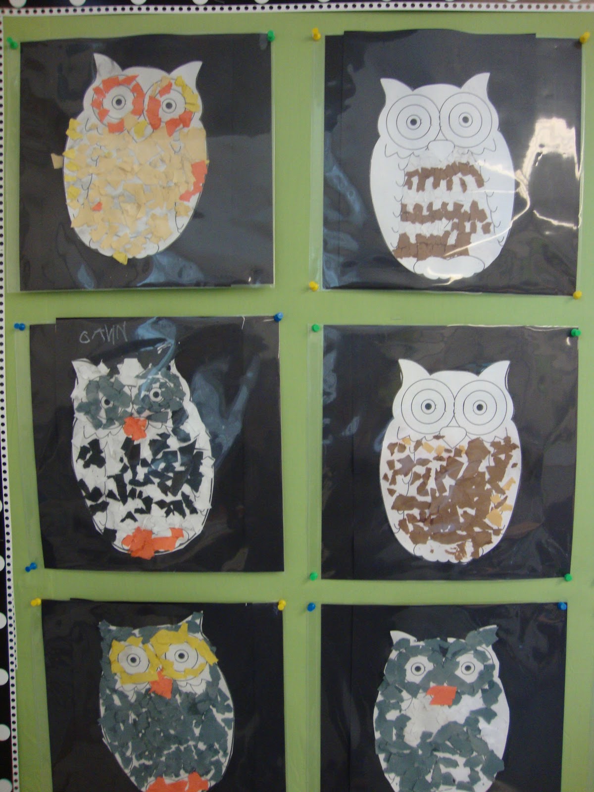 Our Owls - Learning With Mrs. Parker