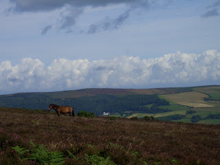 Exmoor Pubs & Walks: Ten Mile Walk From Dunkery Gate via Dunkery Beacon ...