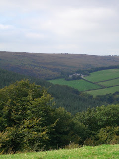 Exmoor Pubs & Walks: Nine Mile Walk from Withypool to the Rock House ...