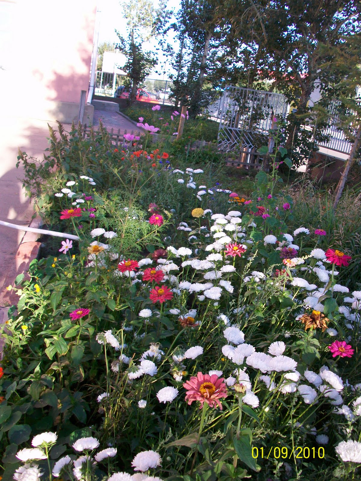 Mongolia Mission: Trip to Murun