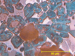 Qui.Informação: Clinquerização