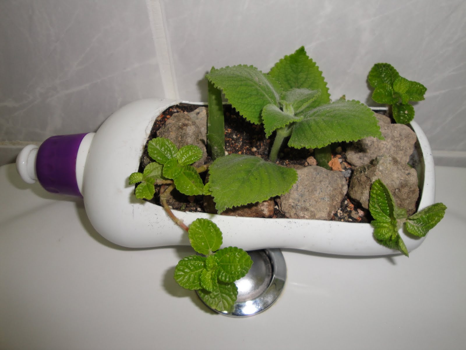 Prudentmoms: Reuse Before Recycle