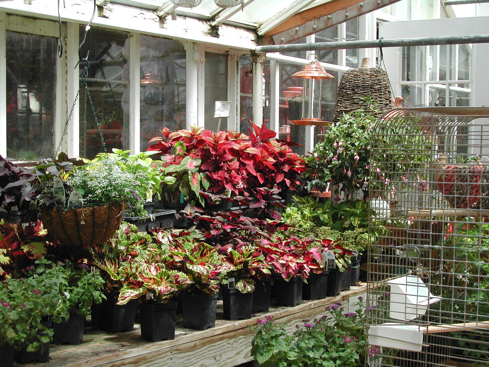 Life + Style: {in the Garden} A New Find ... Monches Farm