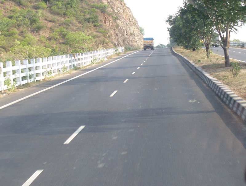 In & Around: Vedanthangal Birds Sanctuary