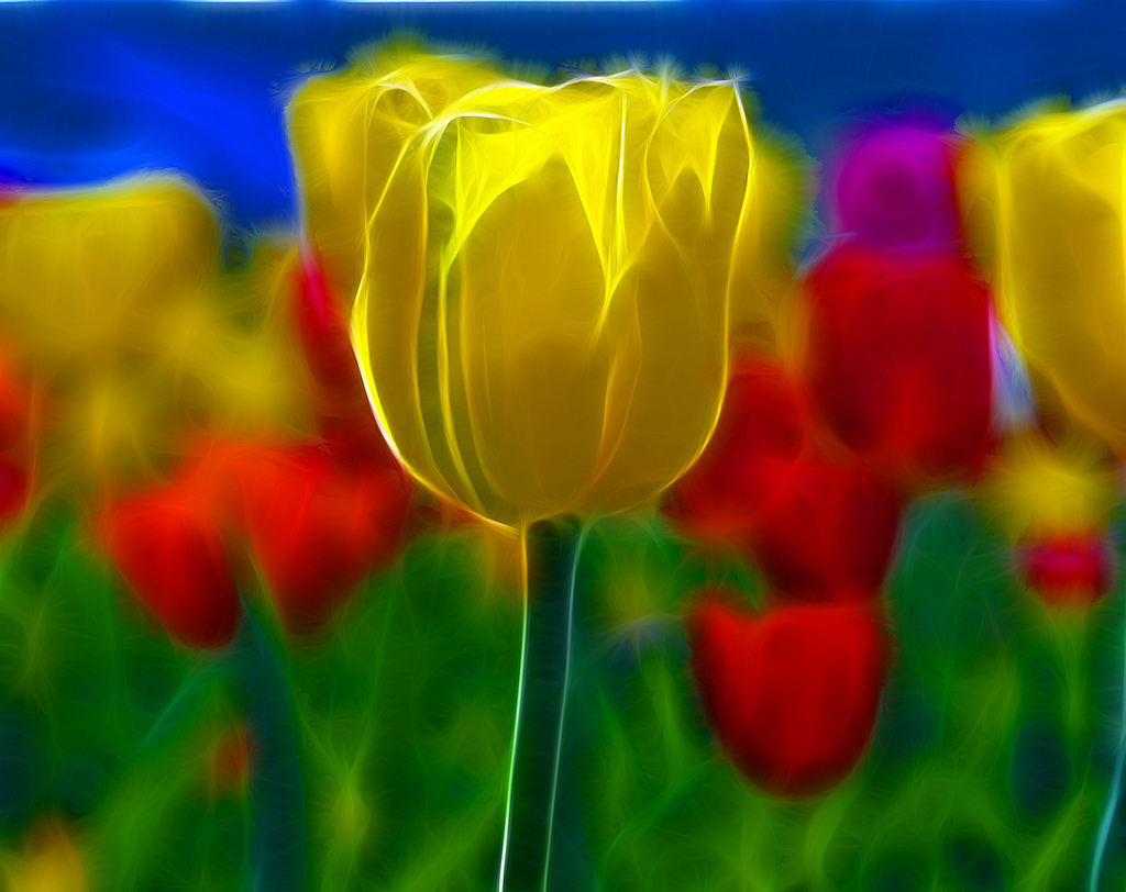 ArtHouse: Fantastic Fractal Photography Art by Steve | Photography Magazine