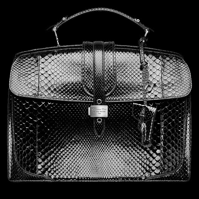 Momist : Luxury Guide: Dior Python Detective Briefcase