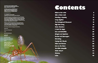 BunyipCo: New Book: All about Ants