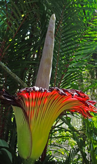 BunyipCo: January 2011