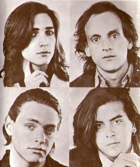 La Enciclopedia del Rock en tu Idioma: VIENA (CHILE)