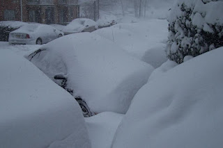 Graceful Life: Snow in Barrie, Ontario