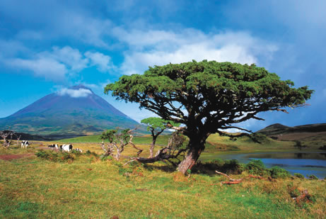 Best place to visit around the world: The Azores - The unexplored ...