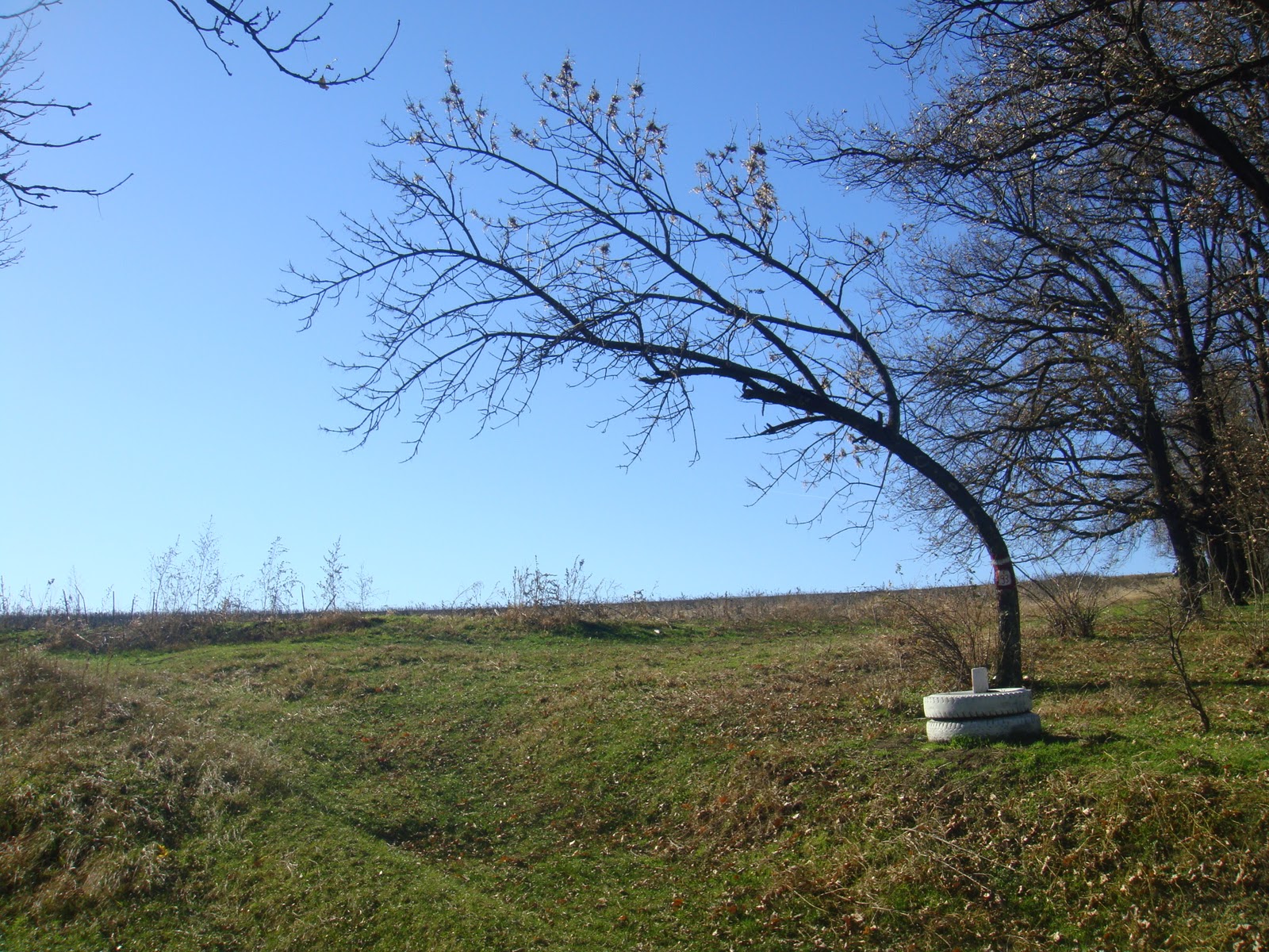 LECTIA DE ANATOMIE A DOCTORULUI POPA: Valul lui Athanaric din judetul ...