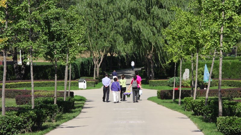 BeijingMan: Chinese Cemetery