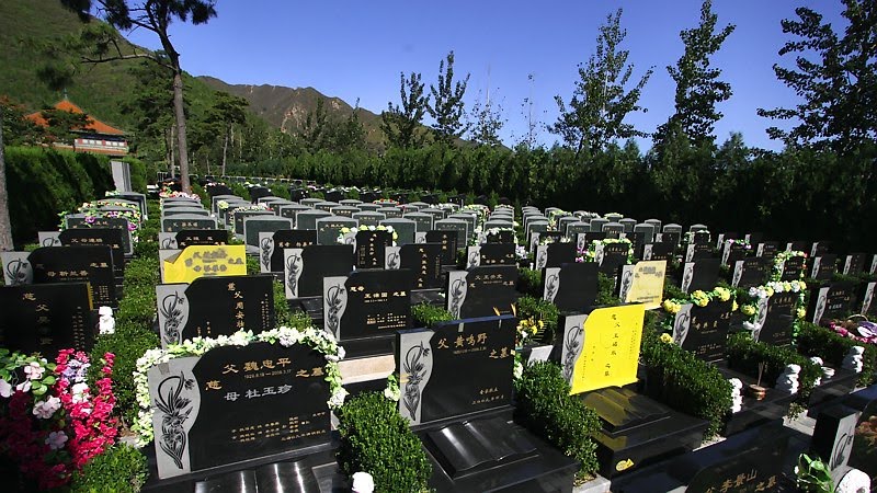 BeijingMan: Chinese Cemetery
