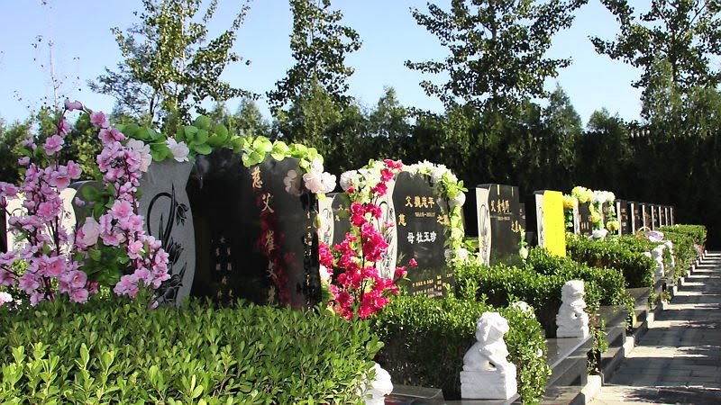 BeijingMan: Chinese Cemetery