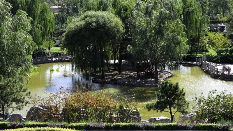 BeijingMan: Chinese Cemetery