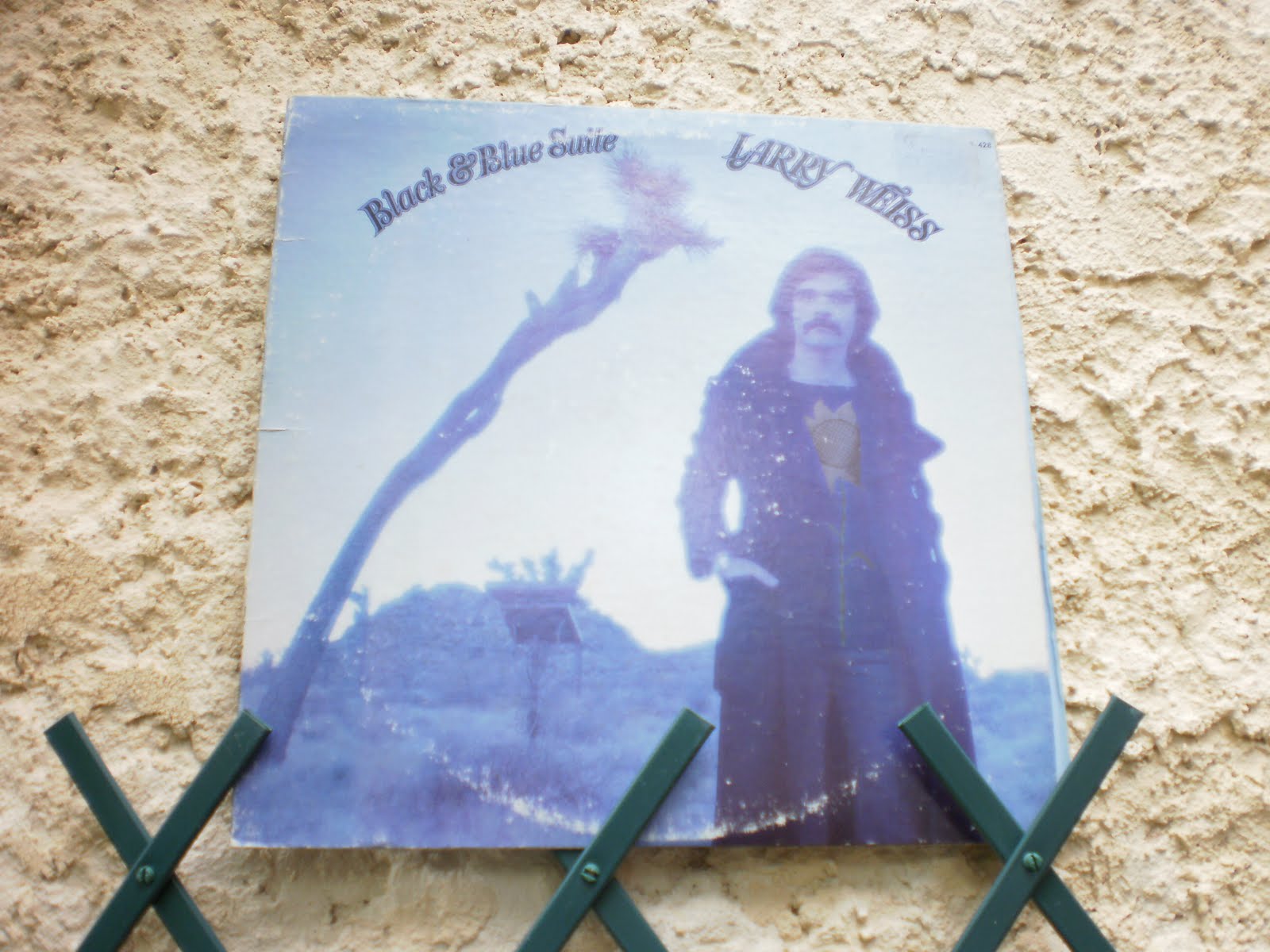 mastersongwriters: larry weiss sooooooooooo nice