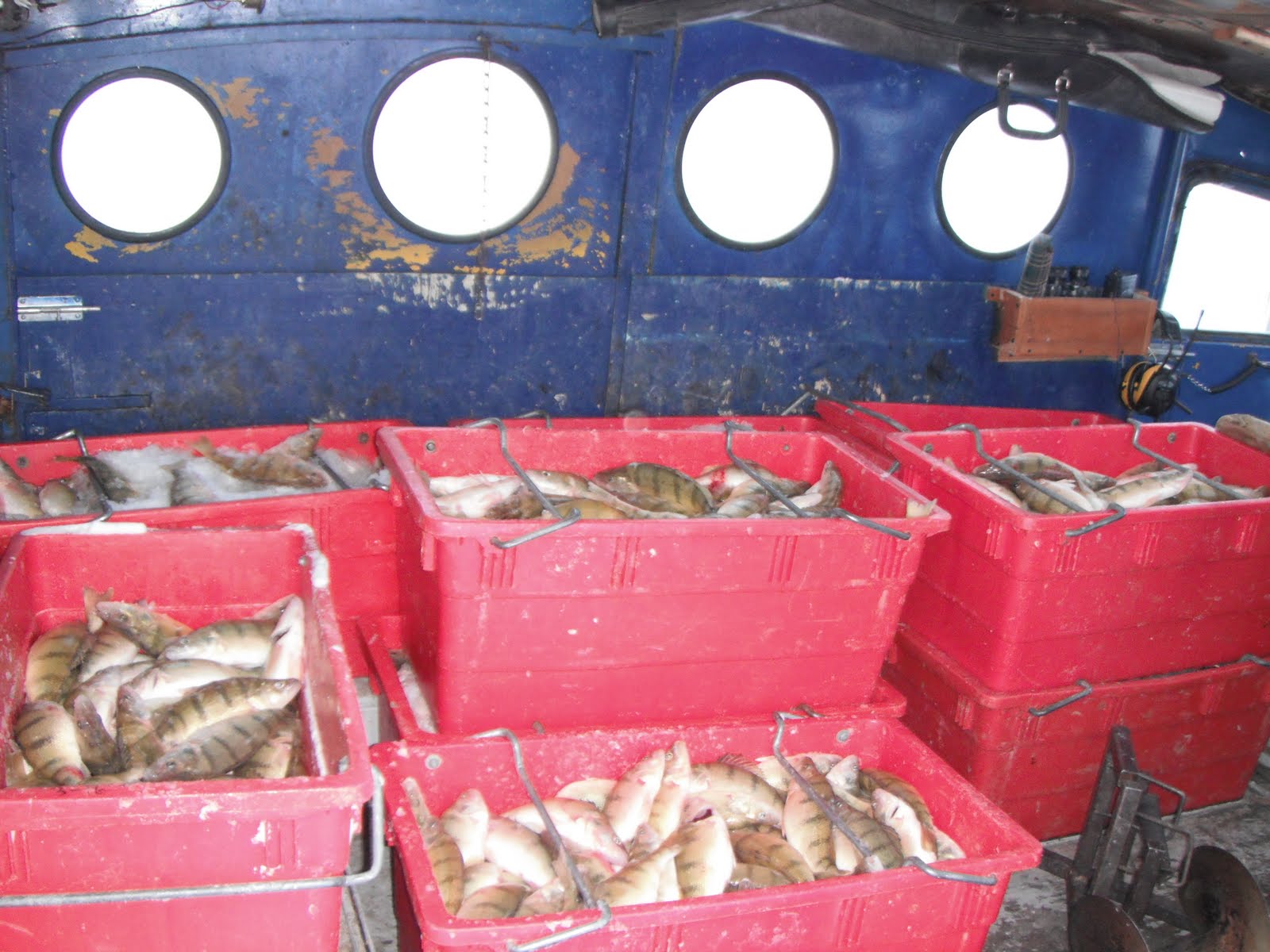 Catching fish and winning hockey games! | Amik Outposts