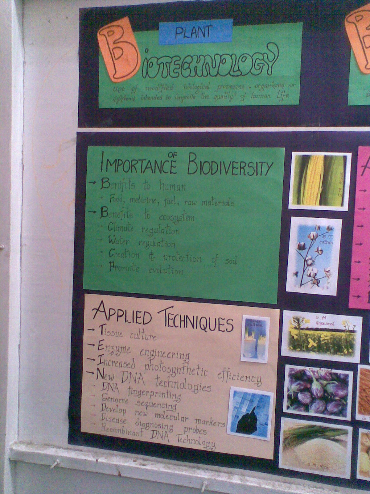 BIONEOGENESIS: Plant Biotechnology and Plant Biodiversity - Poster ...