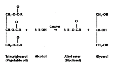 Biodiesel ~ Chemical Engineering Processing