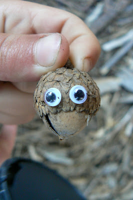 How to make acorn men | believing nature