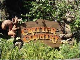 Disneyland Checklist: Critter Country