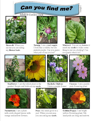 Garden News: Can you find me?