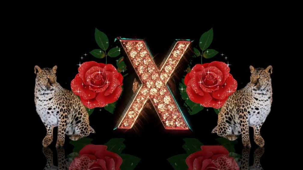 I watch music: M.I.A. XXXO (nowy klip)