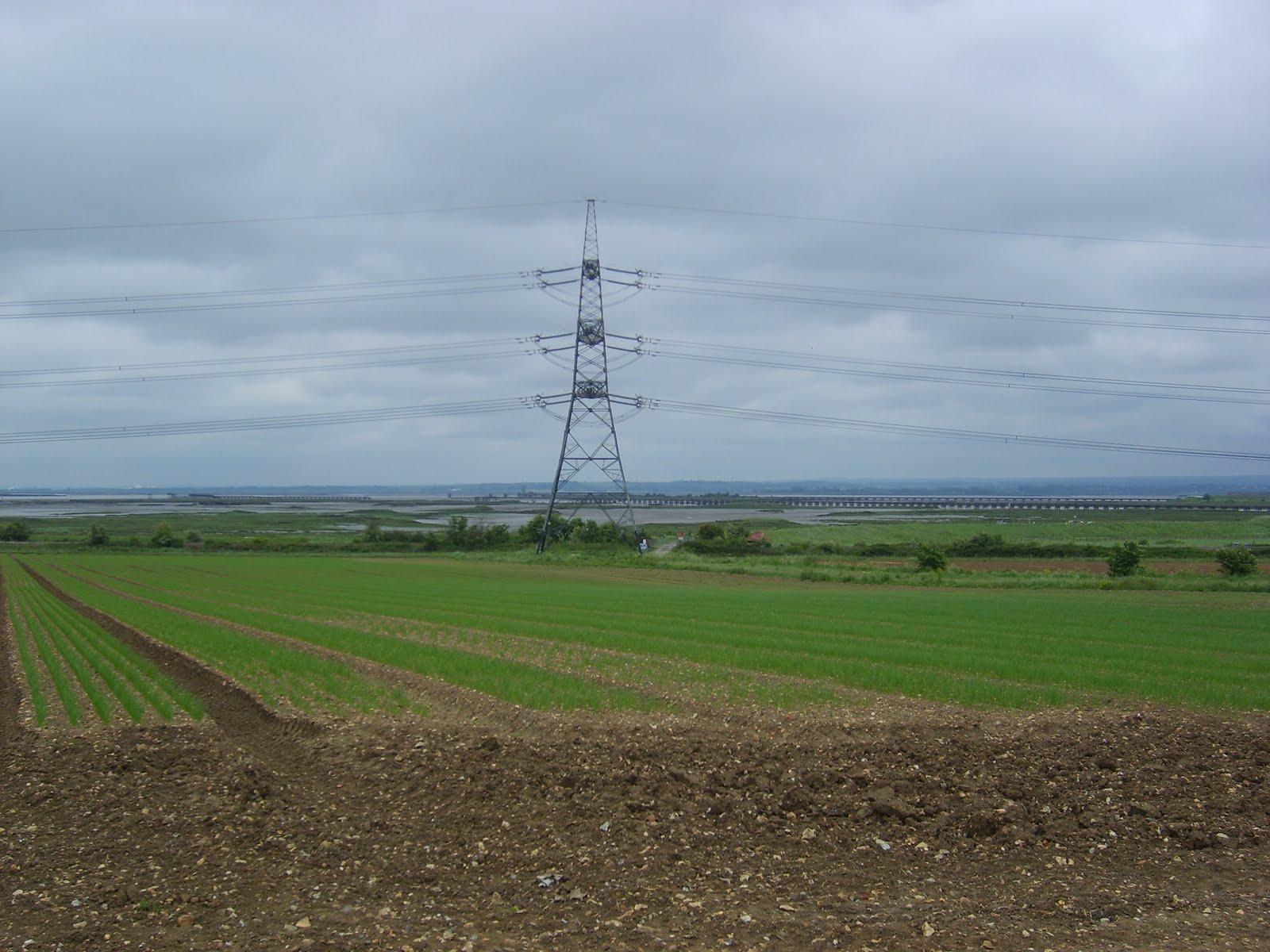 Notes from Kent's Hoo Peninsula: Stoke Road / Eschol Road, Kingsnorth