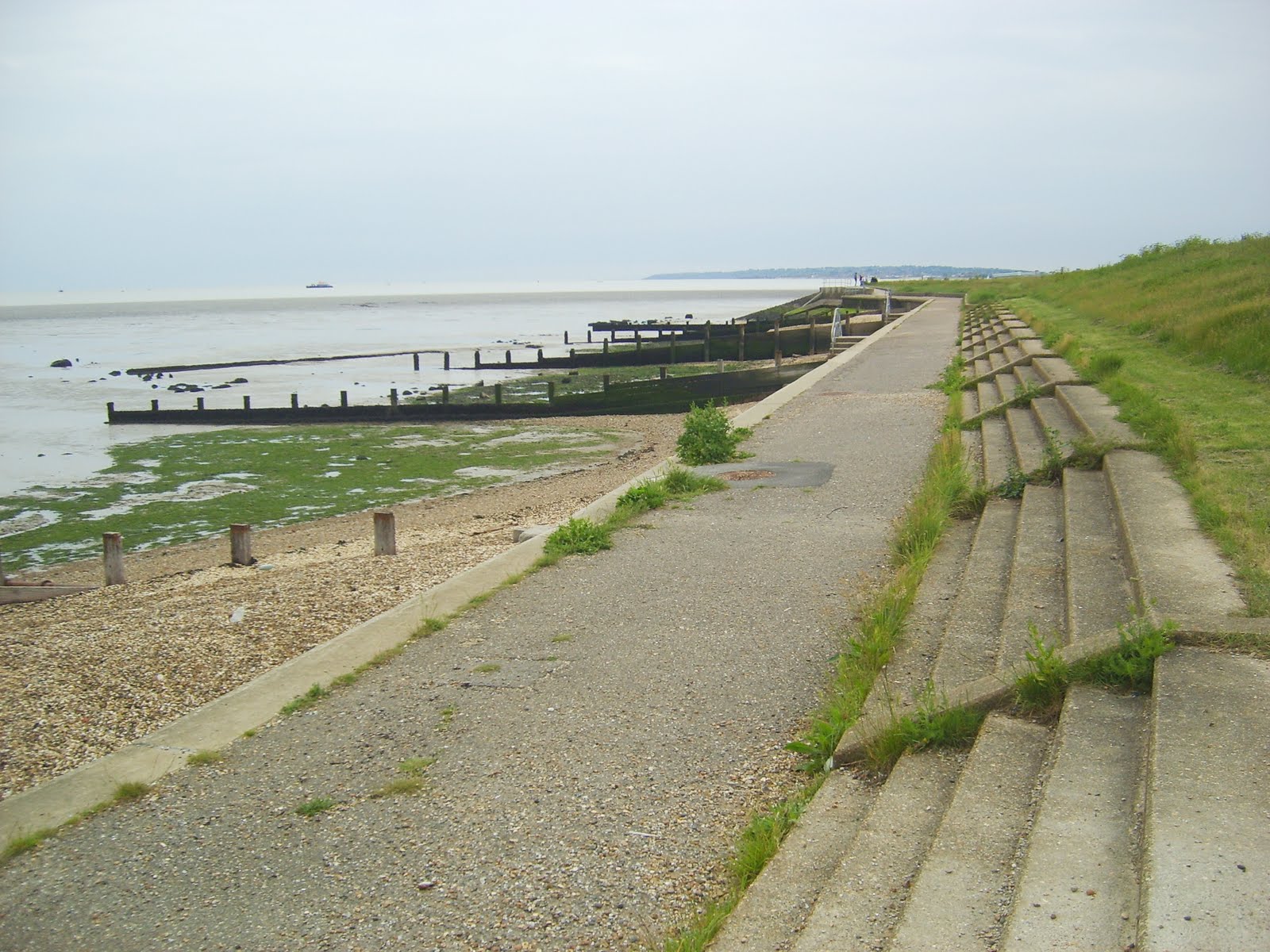 Notes from Kent's Hoo Peninsula: Grain Beach, Isle of Grain