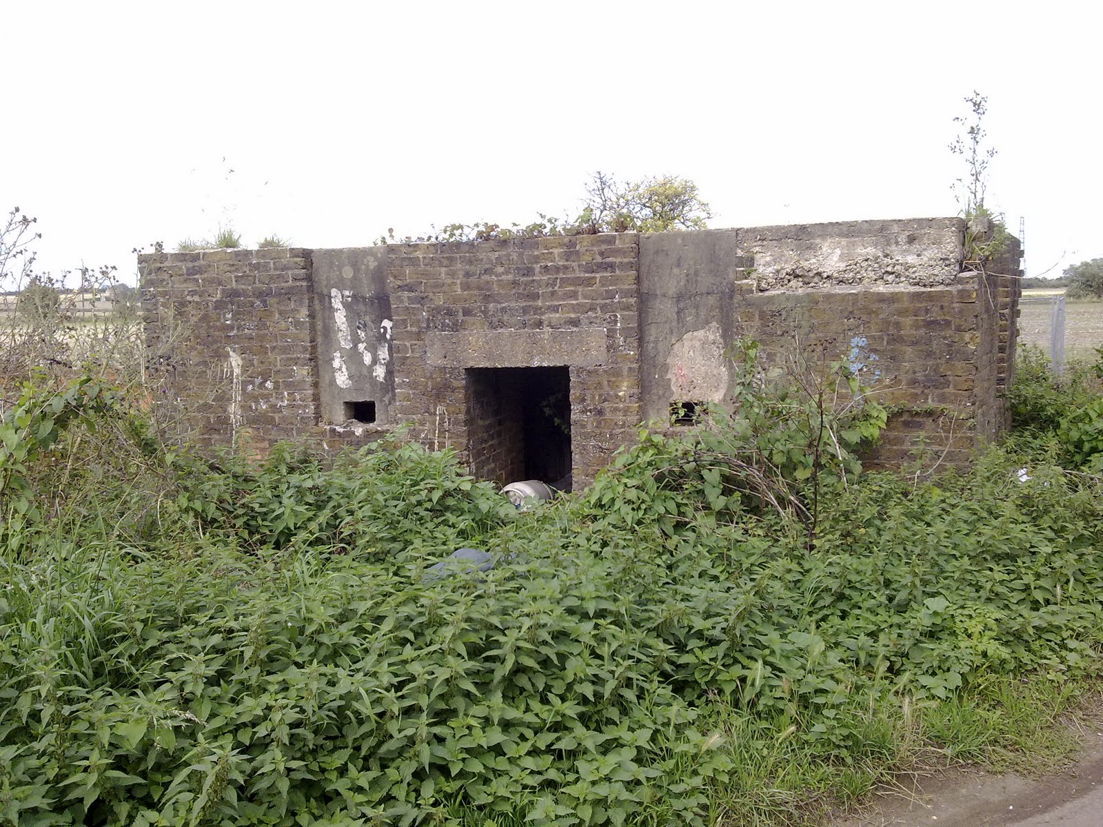 Notes from Kent's Hoo Peninsula: September 2010