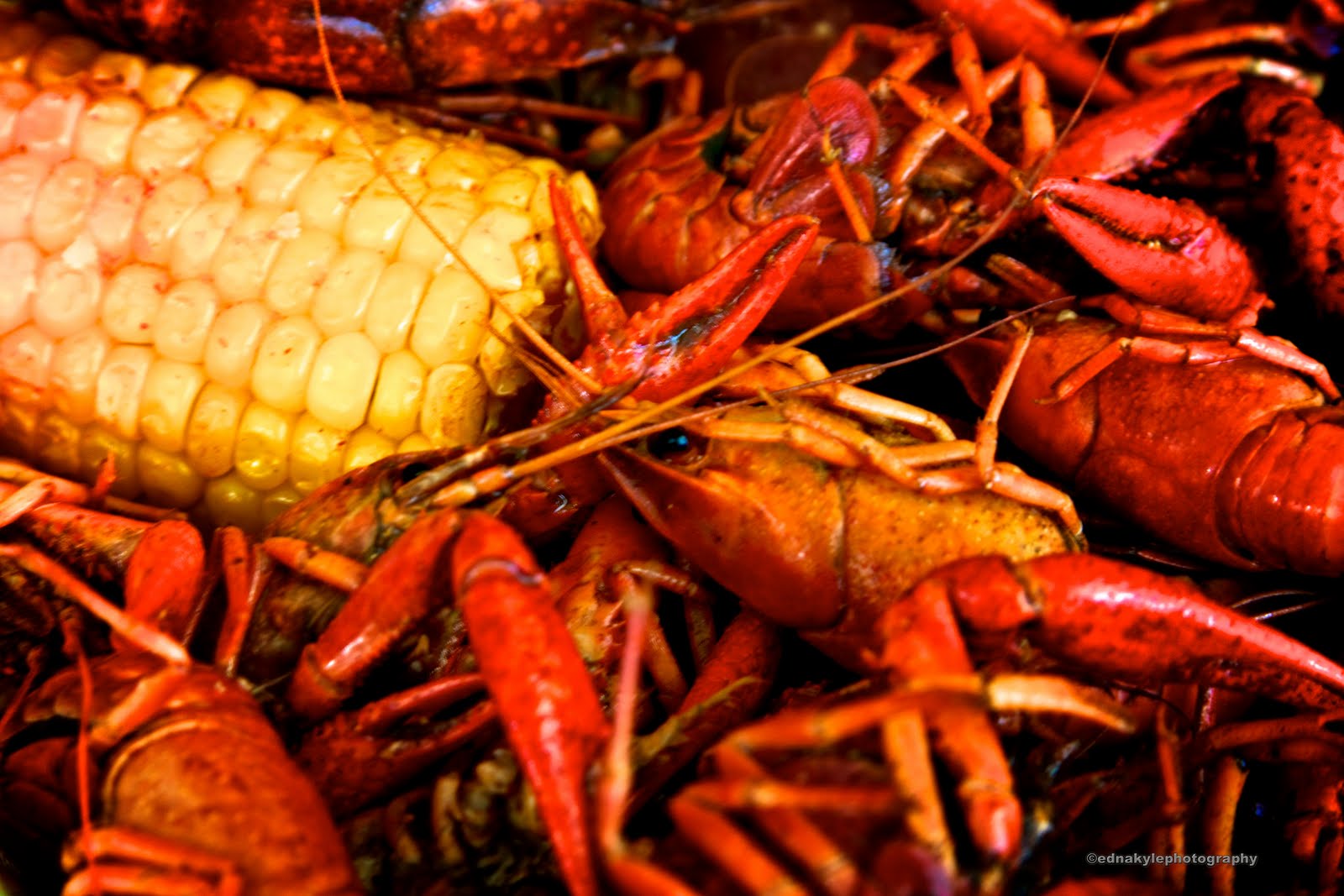 edna and kyle photography: Crawfish
