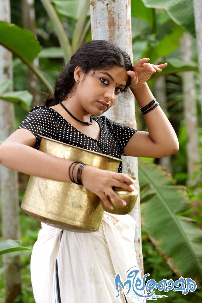 Neelathamara - Blooming again! | ummathooronline