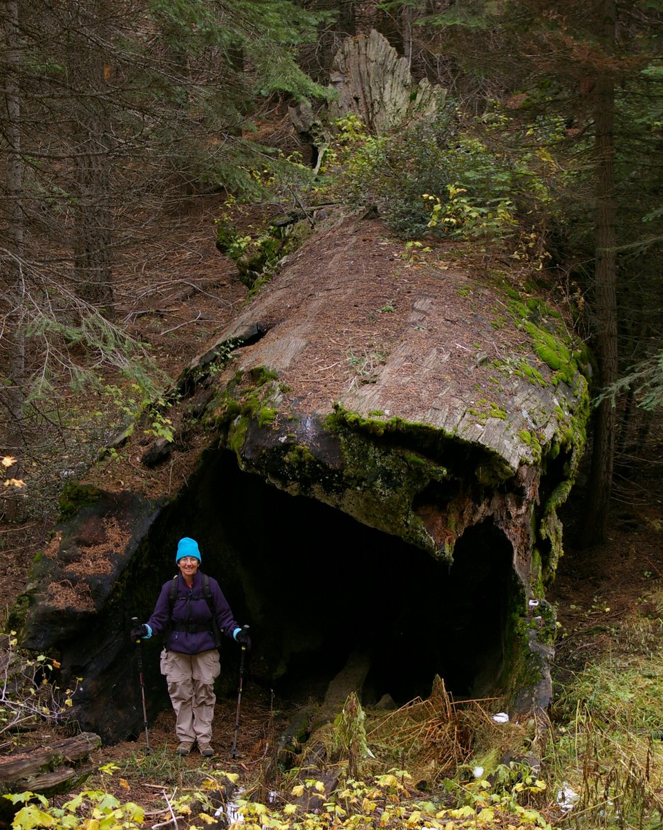 Look, Mom, We're Camping!: Mountain Home State Forest: November 2010